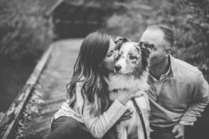 Emily & Evan | Springfield, IL Lincoln Memorial Garden Engagement ...