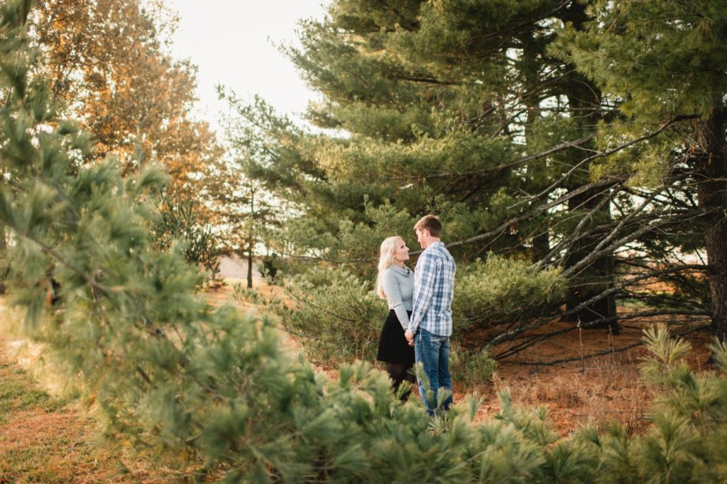 Calla & Aaron |Shepherd House, Springfield, IL Late Fall Engagement ...