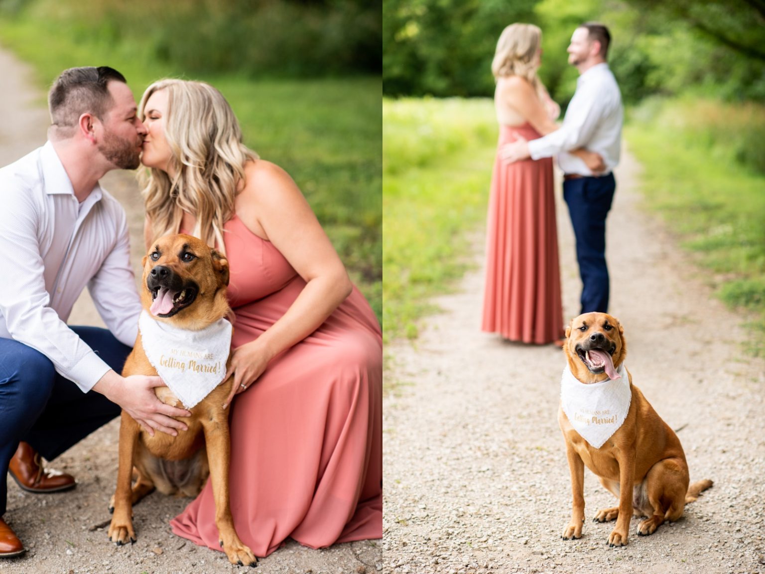 Alison & Sam | Lincoln Memorial Gardens Springfield, IL Summer ...