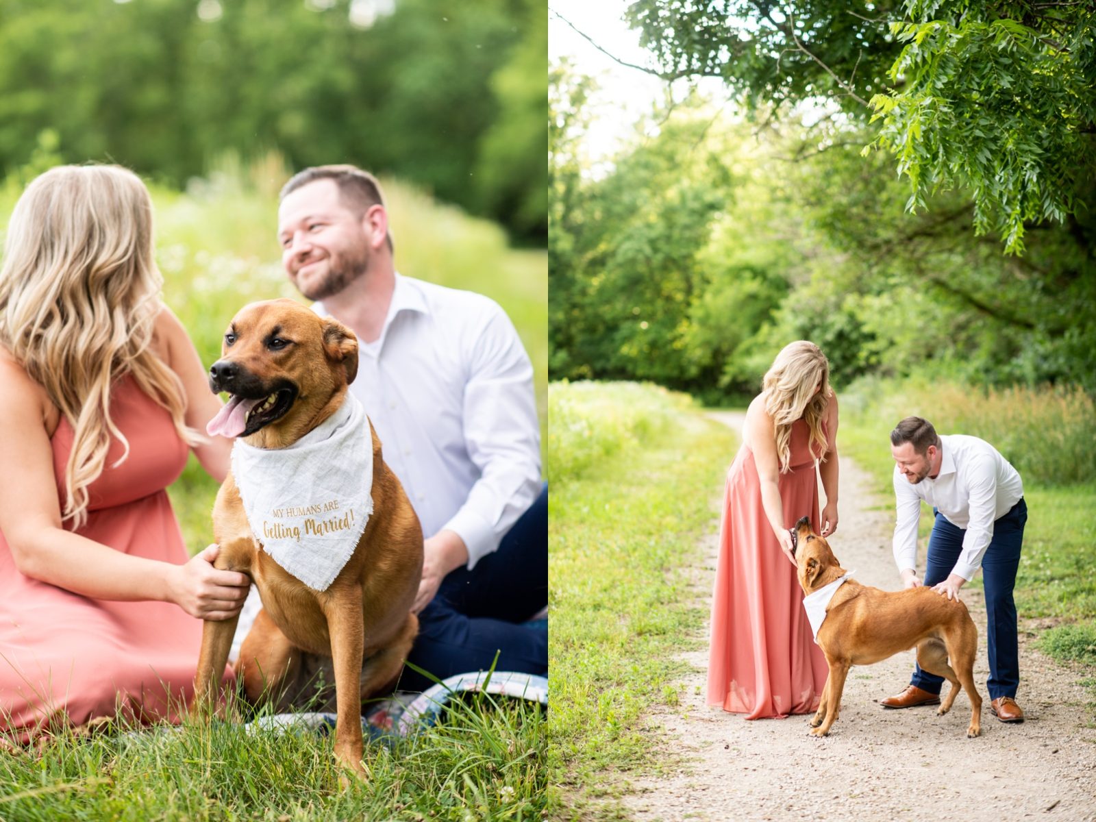 Alison & Sam | Lincoln Memorial Gardens Springfield, IL Summer ...