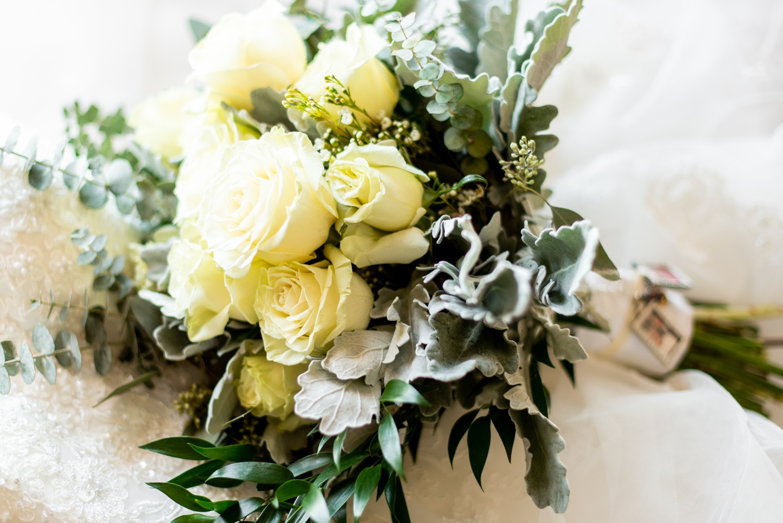 Taylor & Dustin | Springfield, IL Crowne Plaza Romantic Fall Wedding ...