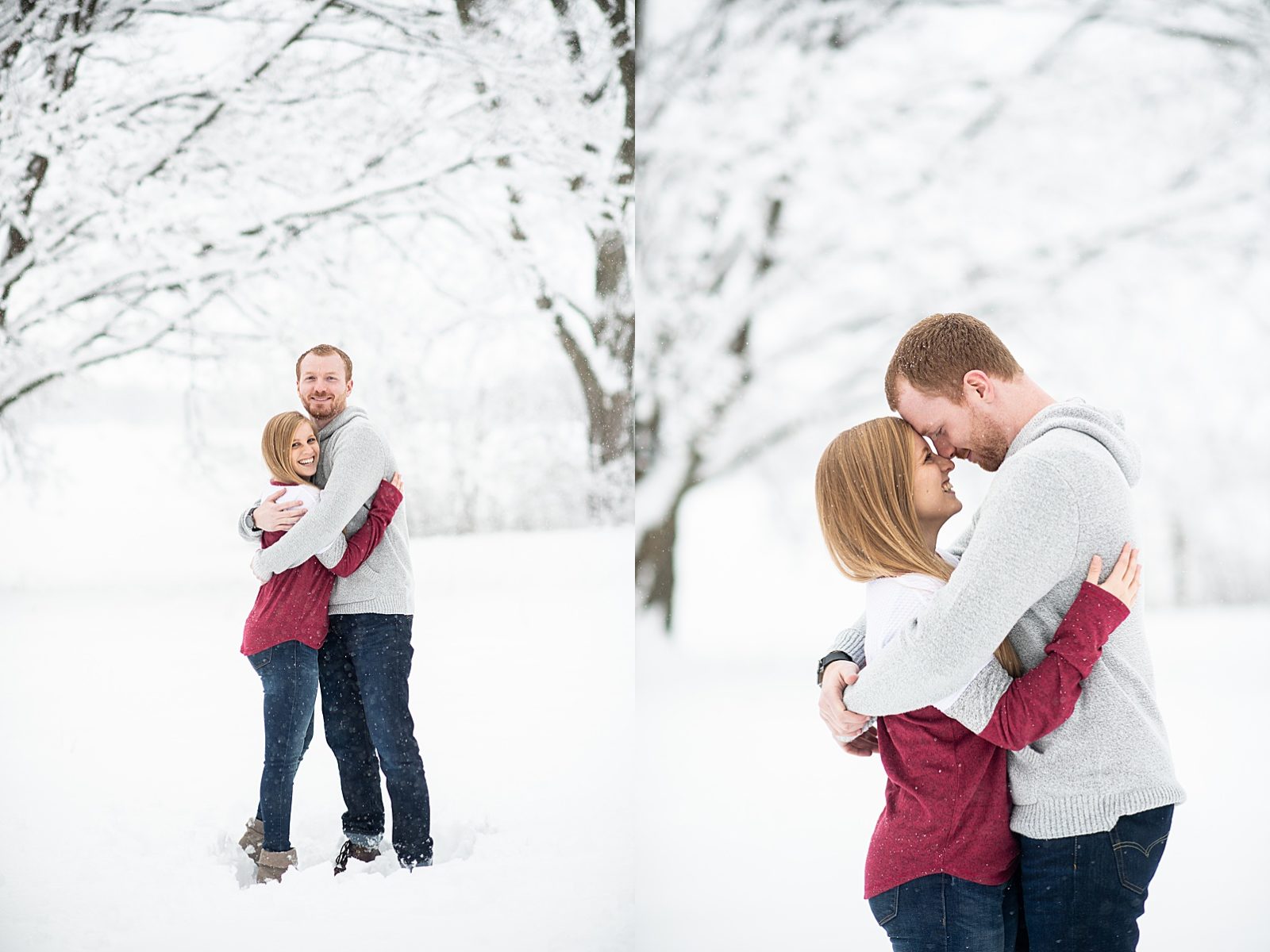 GiAnna & Austin Snowy Busse Woods Schaumburg, Illinois Engagement ...
