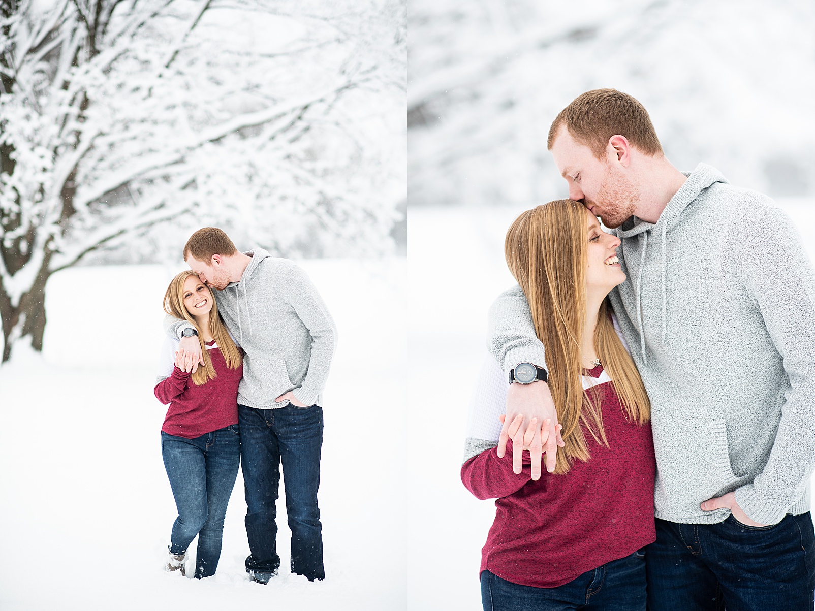 GiAnna & Austin Snowy Busse Woods Schaumburg, Illinois Engagement ...