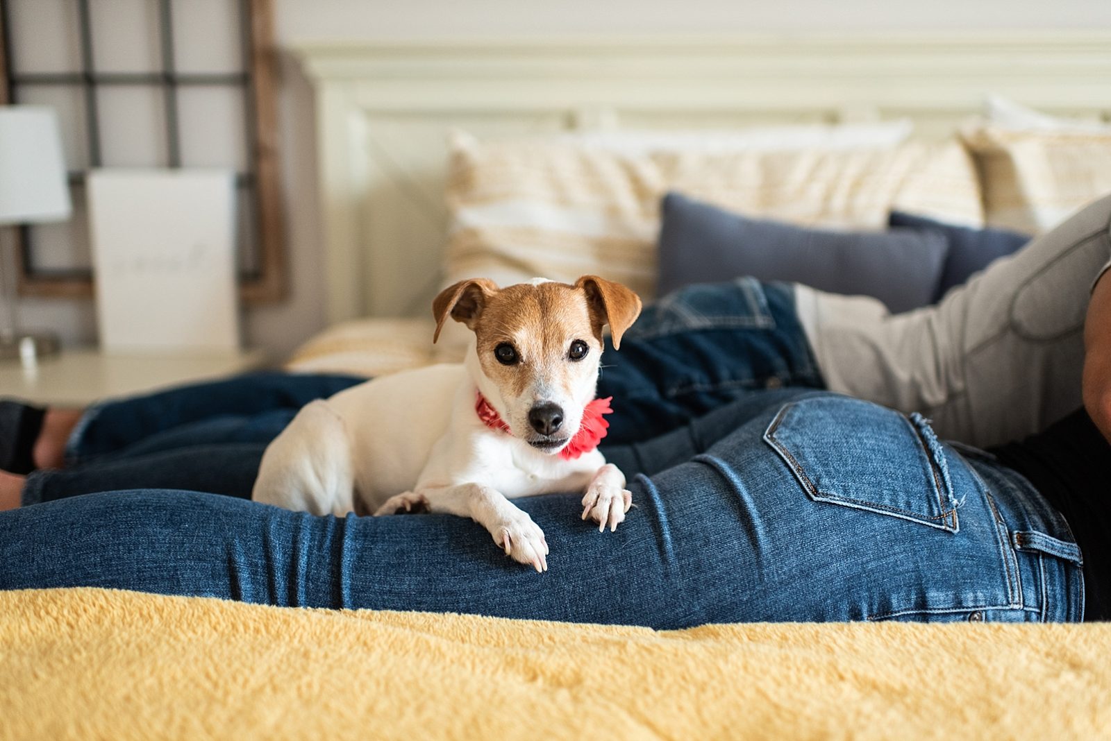 Addie & Jacob | In-Home & Rock Springs Park Decatur, IL Summer ...